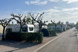 Inicio - Camping Tauro